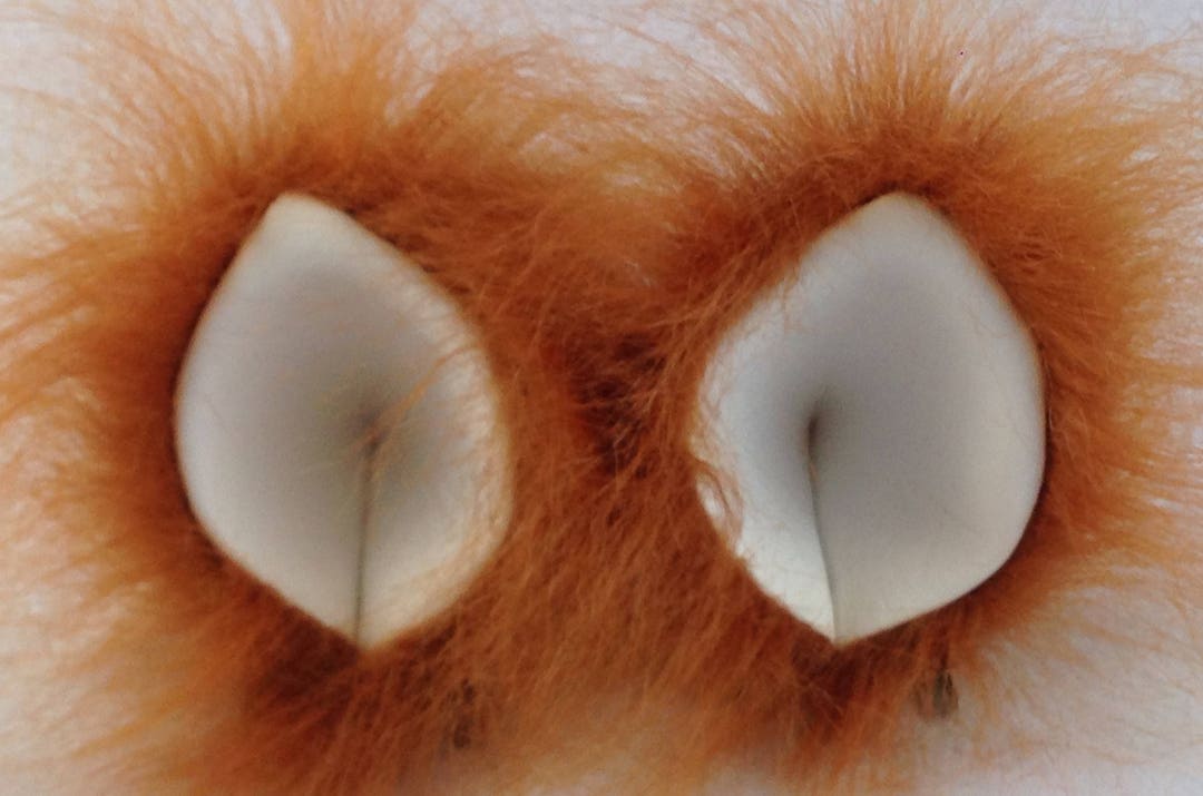 Mini Fox Ears With Clips. Ginger Fox Ears. Fox Ears on Headband. Small ...