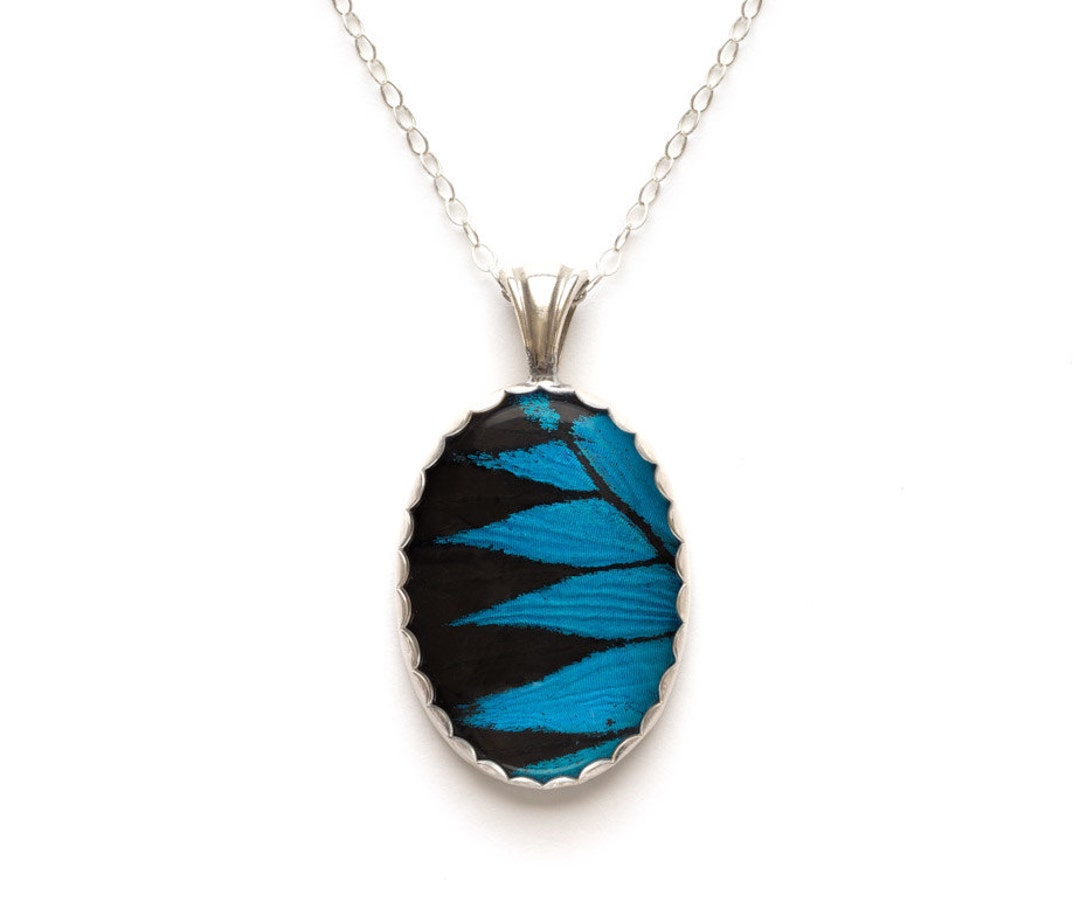 Insect Jewelry Real Butterfly Wing PAPILIO ULYSSES Sterling Silver - Etsy