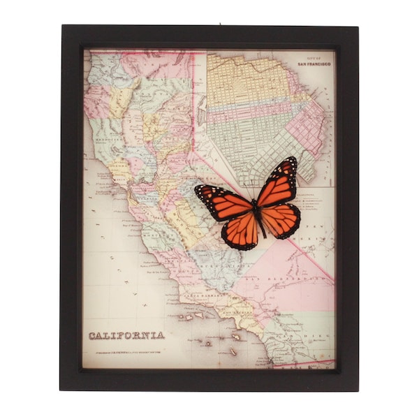 Framed California Map - Etsy