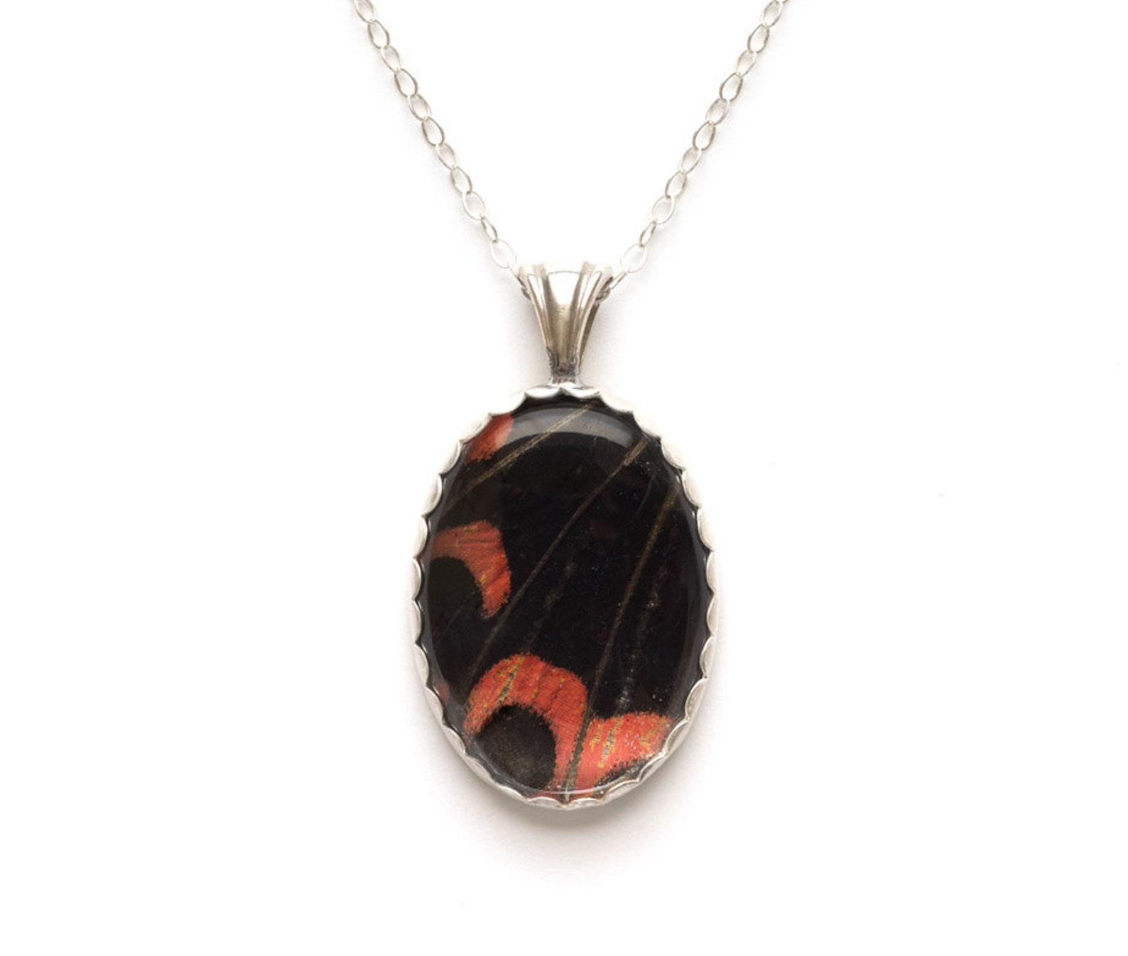 Real Bug Jewelry Insect Pendant Sterling Silver Scarlet Mormon - Etsy