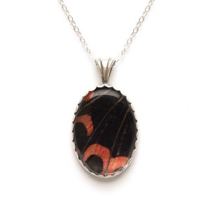 Real Bug Jewelry Insect Pendant Sterling Silver Scarlet Mormon - Etsy