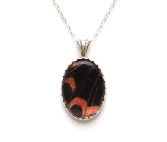 Real Bug Jewelry Insect Pendant Sterling Silver Scarlet Mormon - Etsy