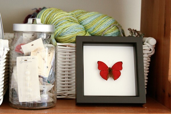 Real Red Butterfly Mounted Shadowbox Display | Etsy
