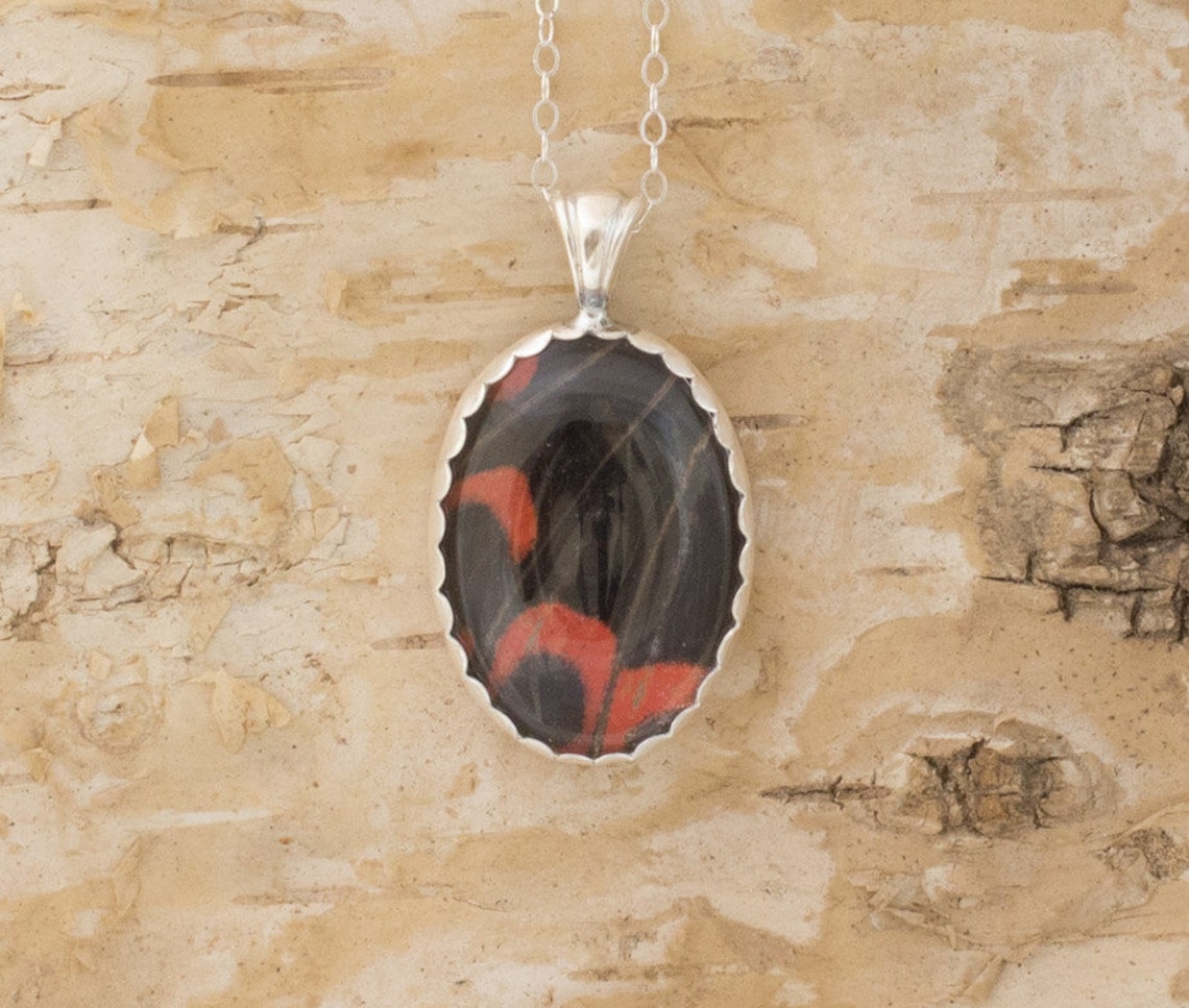 Real Bug Jewelry Insect Pendant Sterling Silver Scarlet Mormon - Etsy