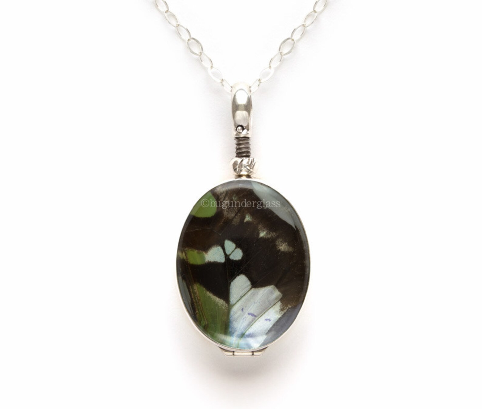 Real Insect Wing Jewelry Purple Mountain Swallowtail - Etsy UK