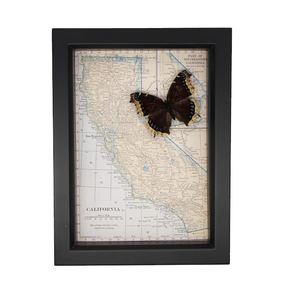 Butterfly Map of California - Etsy
