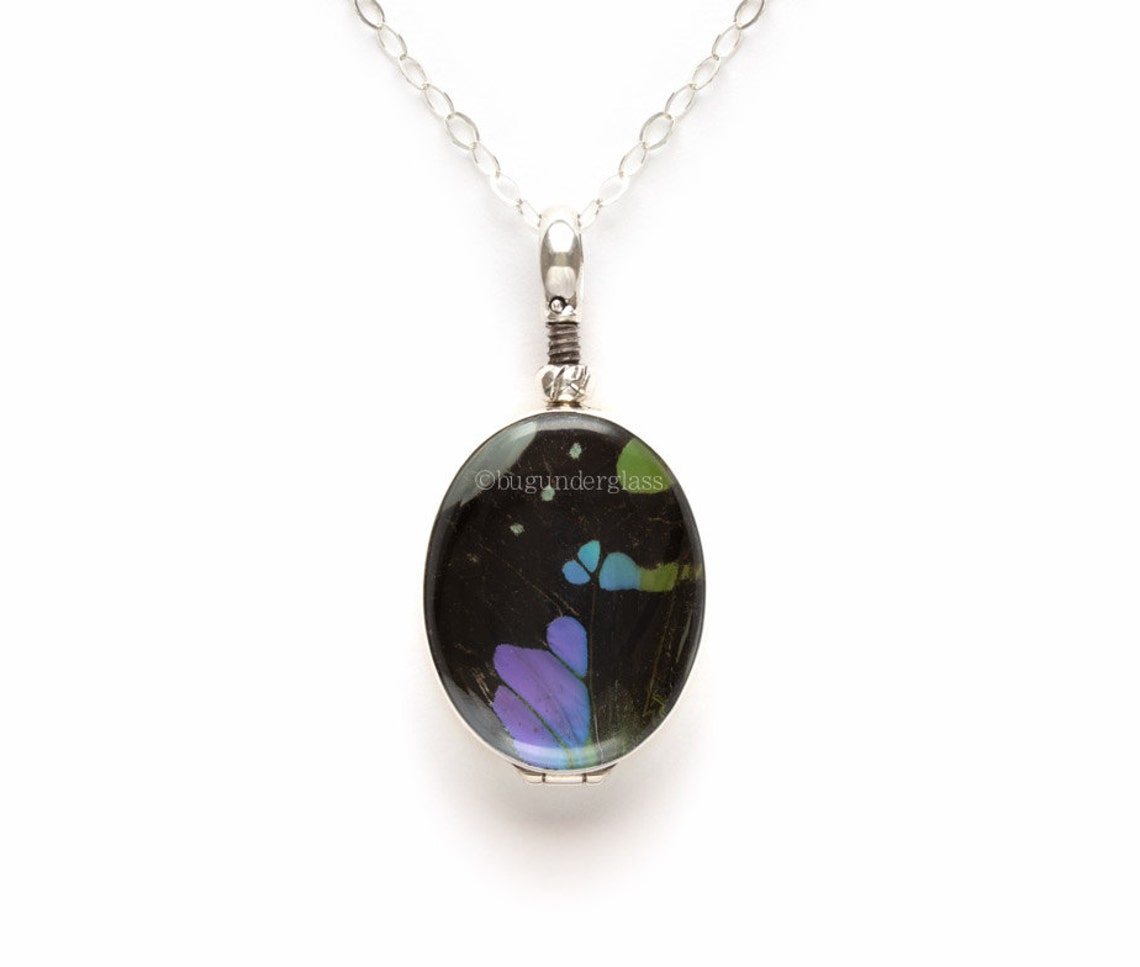 Real Insect Wing Jewelry Purple Mountain Swallowtail - Etsy UK