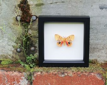 Bolo Green Beetle - Etsy UK