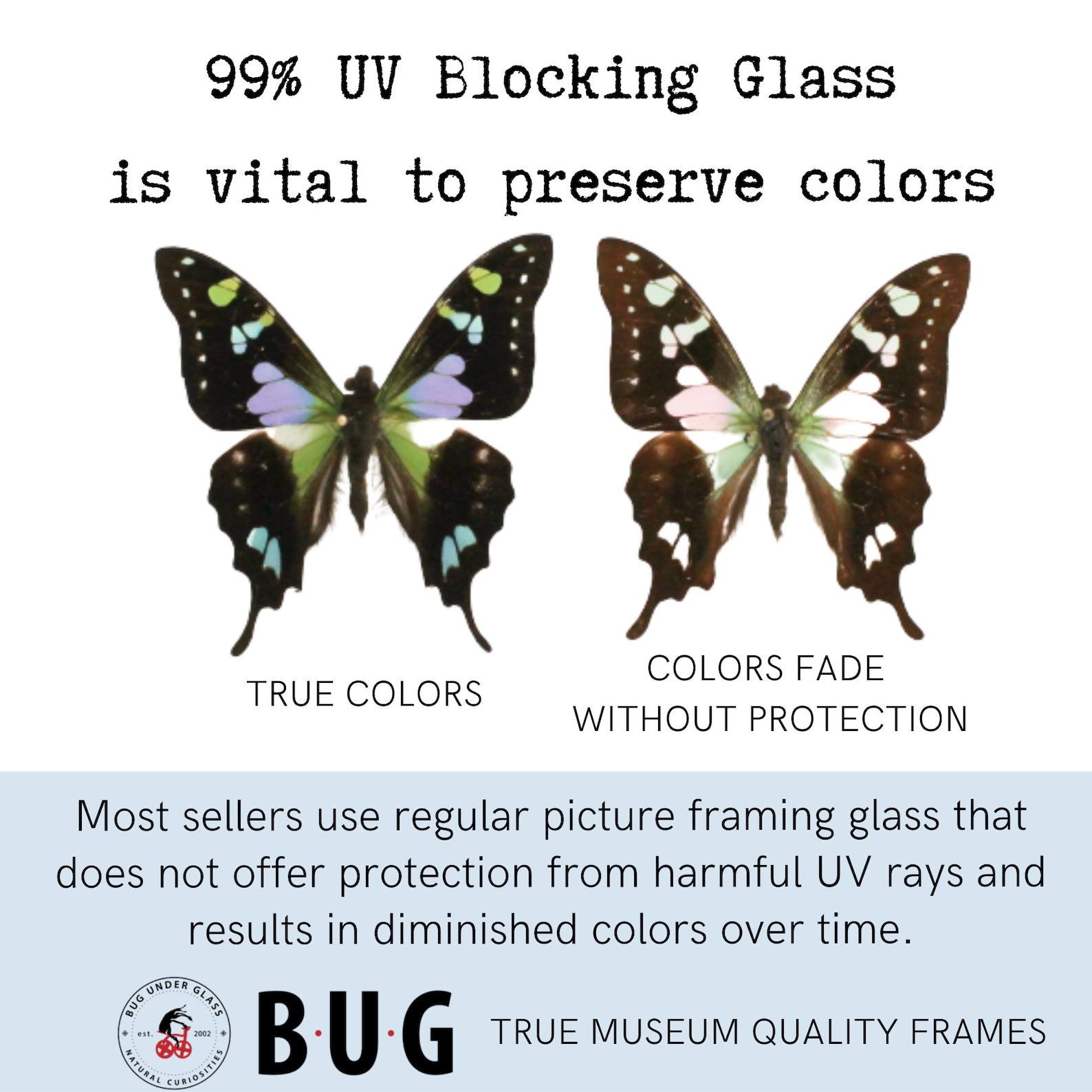 Beetle Sitting on Toilet Dung Beetle Insect Art Diorama - Etsy