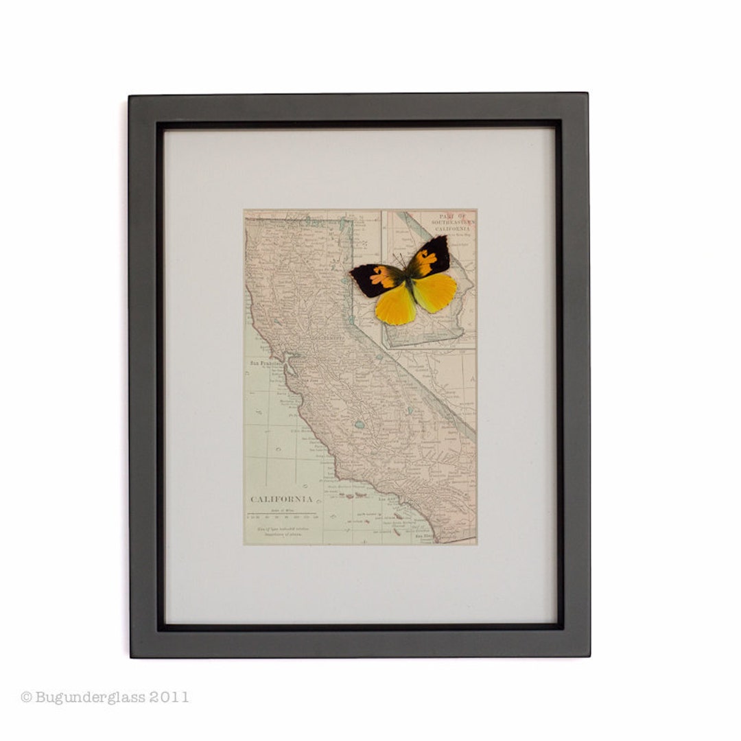Old Vintage Map of California 1910 With Real Framed State Butterfly ...