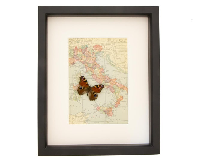 Framed Italy Map With Real Native Butterfly - Etsy