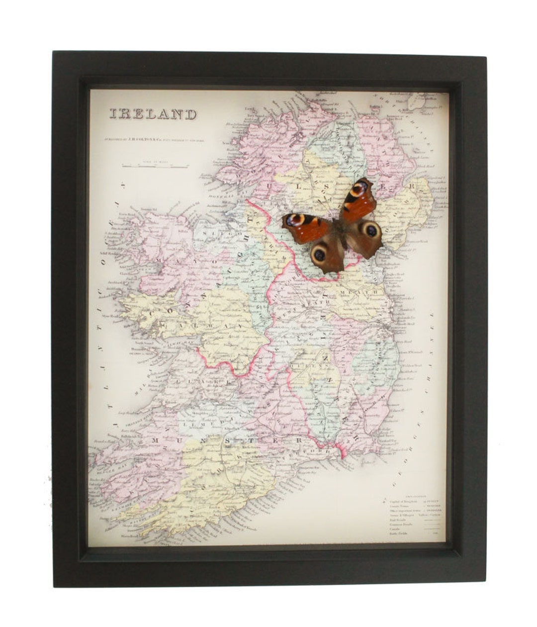 Framed Map of Ireland With Real Native Butterfly Display 9x11 - Etsy