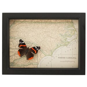 Old Framed Map of North Carolina With Native Butterfly 6x8 - Etsy