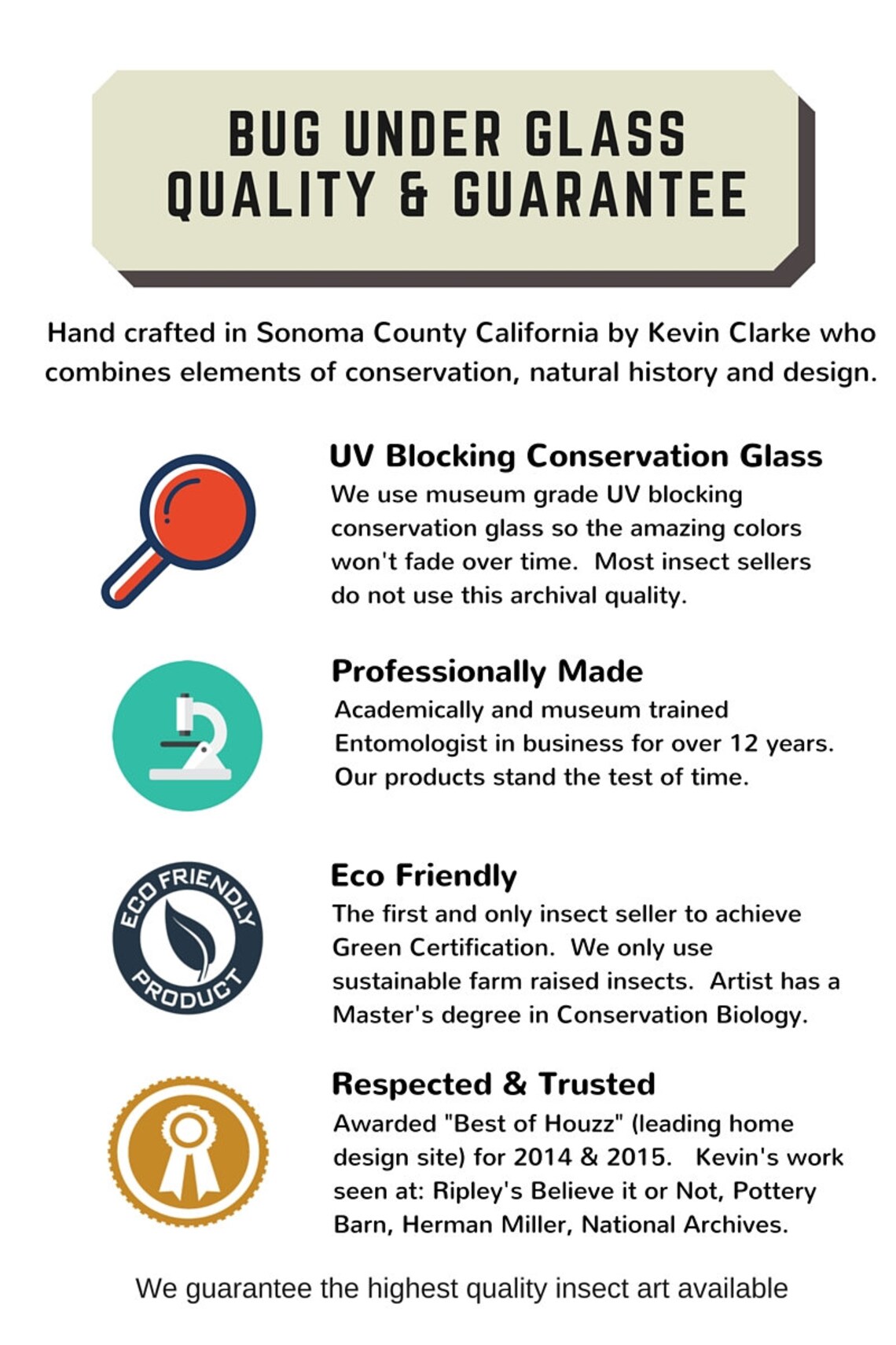 Framed Rhino Beetle Taxidermy Museum Display 6.5x6.5 - Etsy