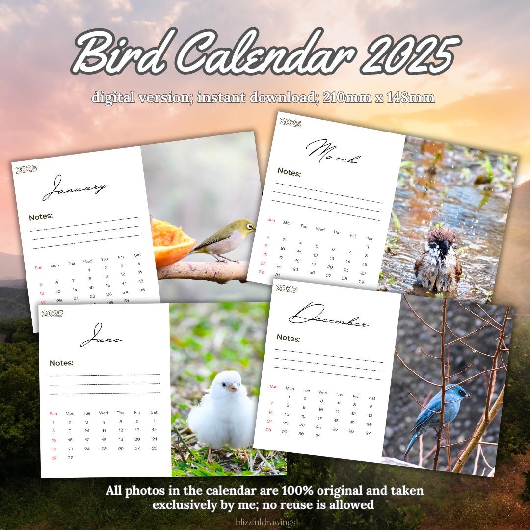 Birds Calendar 2025 Birds Photography Digital Calendar Garden Birds ...