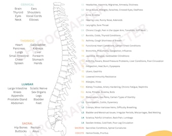 Effects of Spinal Subluxation Chiropractic Poster Handout Digital Download Printable Wall Chart ...