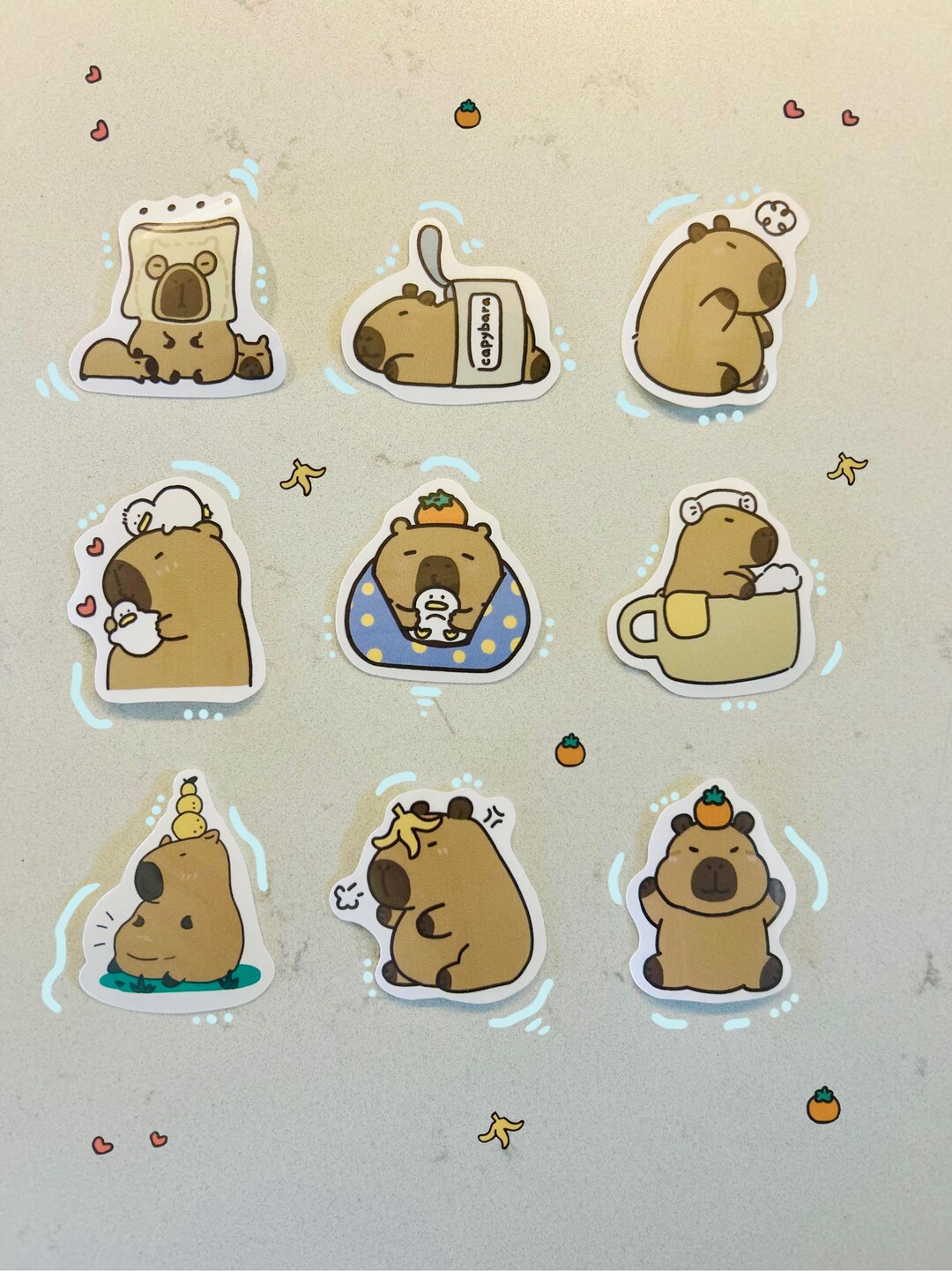 Capybara Sticker Pack - Etsy
