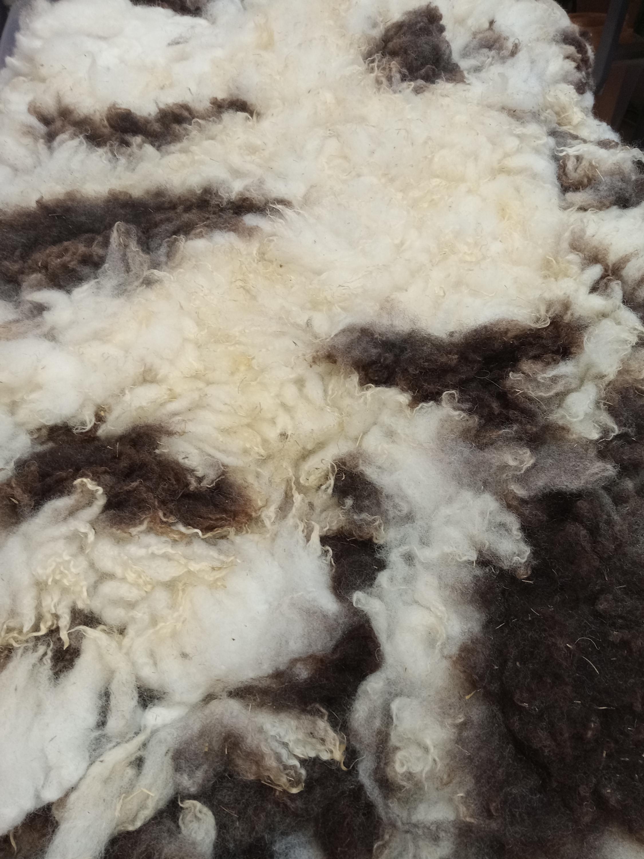 Jacob Fleece Rug/wall Art/couch Throw - Etsy