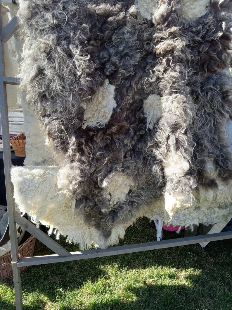 Felted Wool Rug/textile Art/bed Throw - Etsy