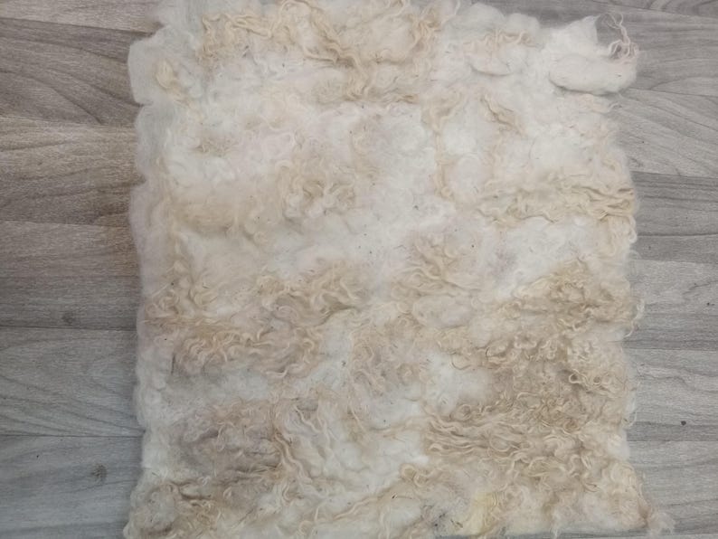 Sheep Wool Dog /cat Bed - Etsy