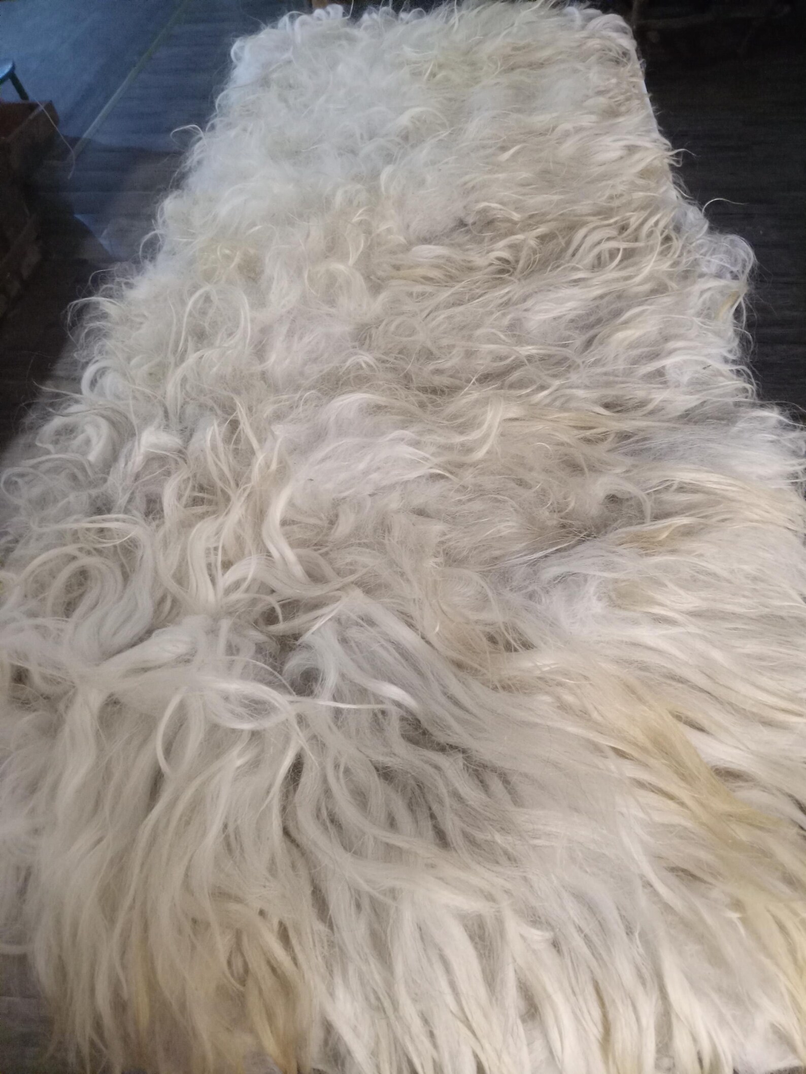 Jacob Fleece Rug/wall Art/couch Throw - Etsy