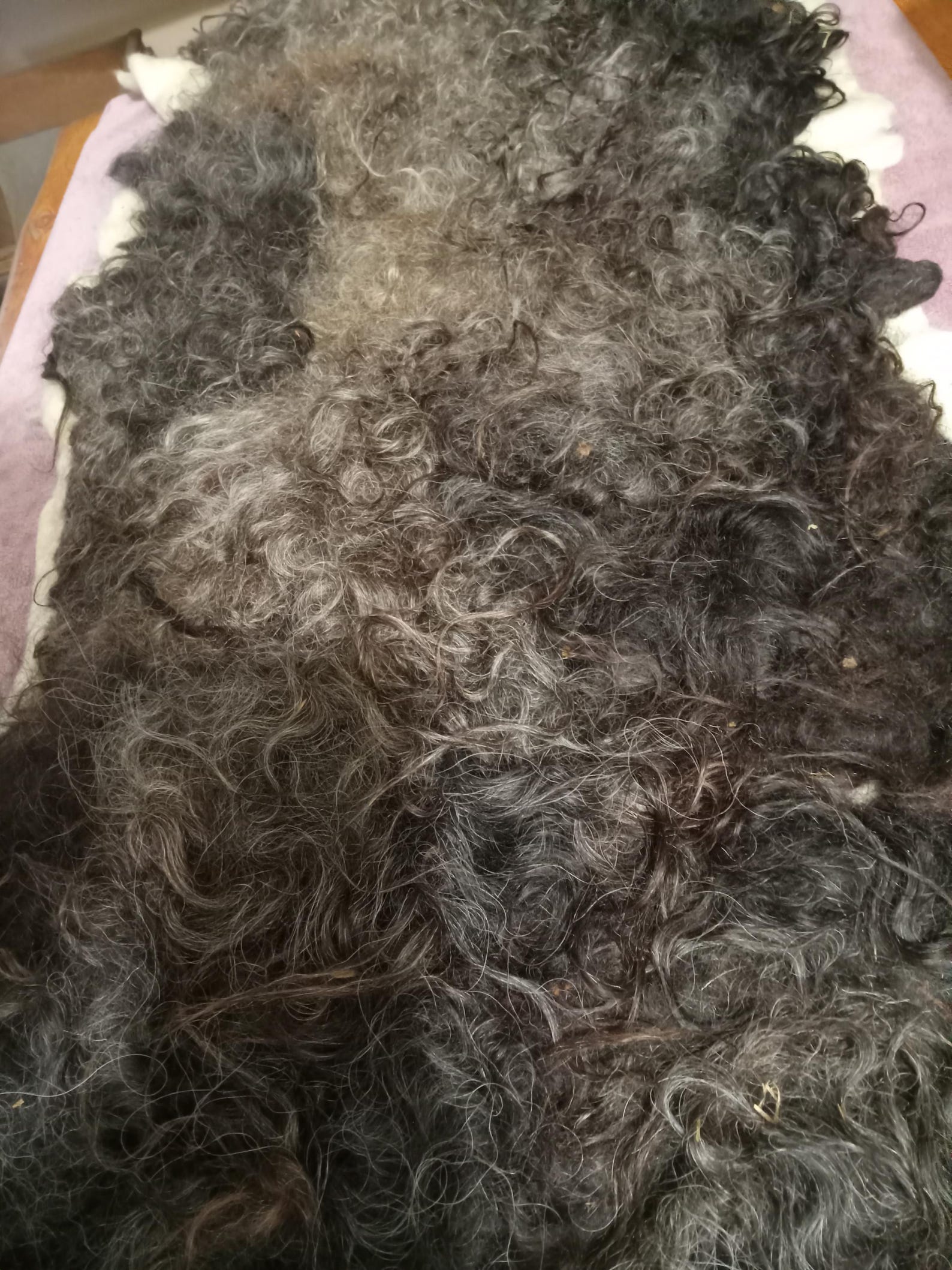 Jacob Fleece Rug/wall Art/couch Throw - Etsy
