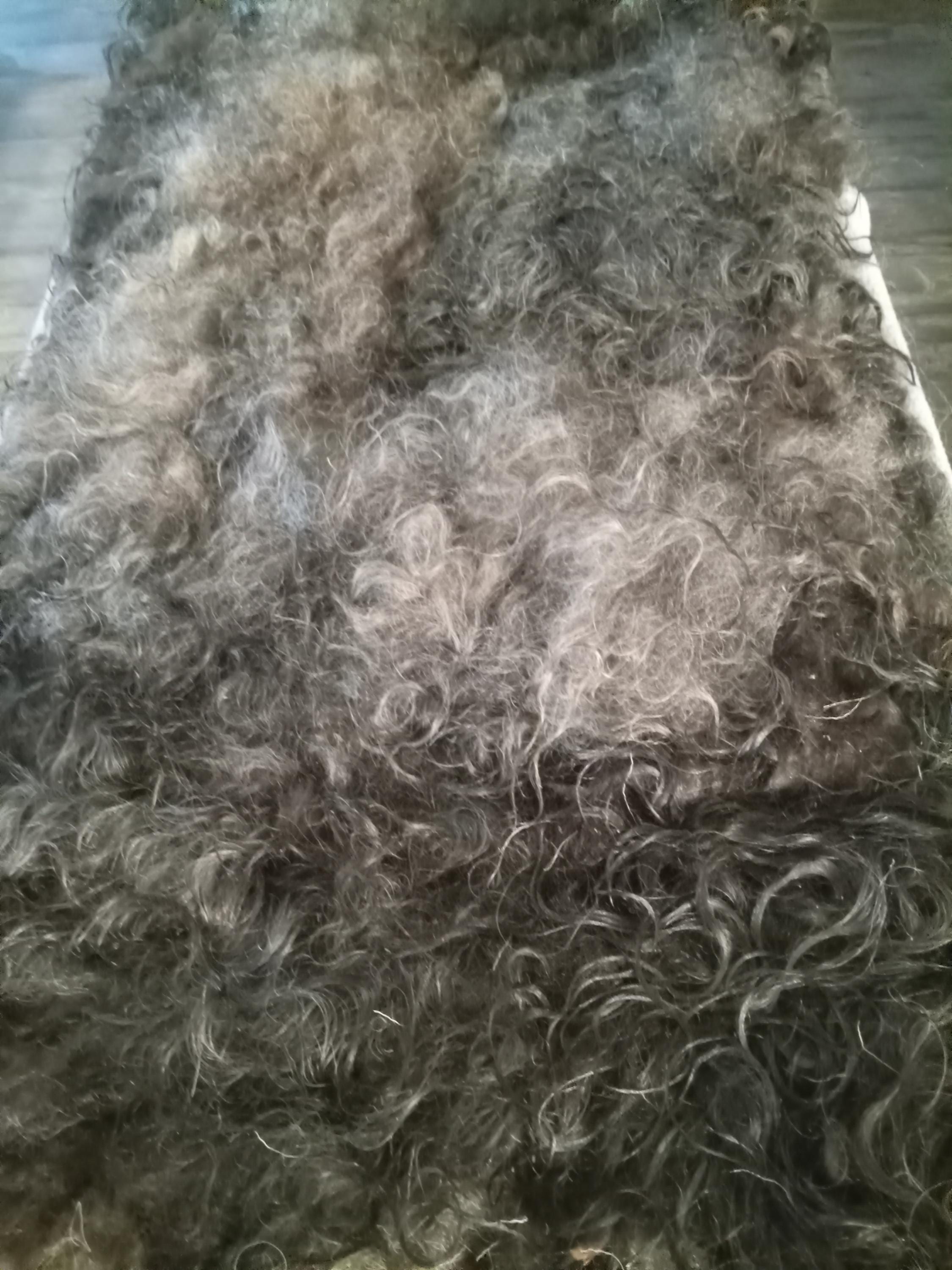 Jacob Fleece Rug/wall Art/couch Throw - Etsy
