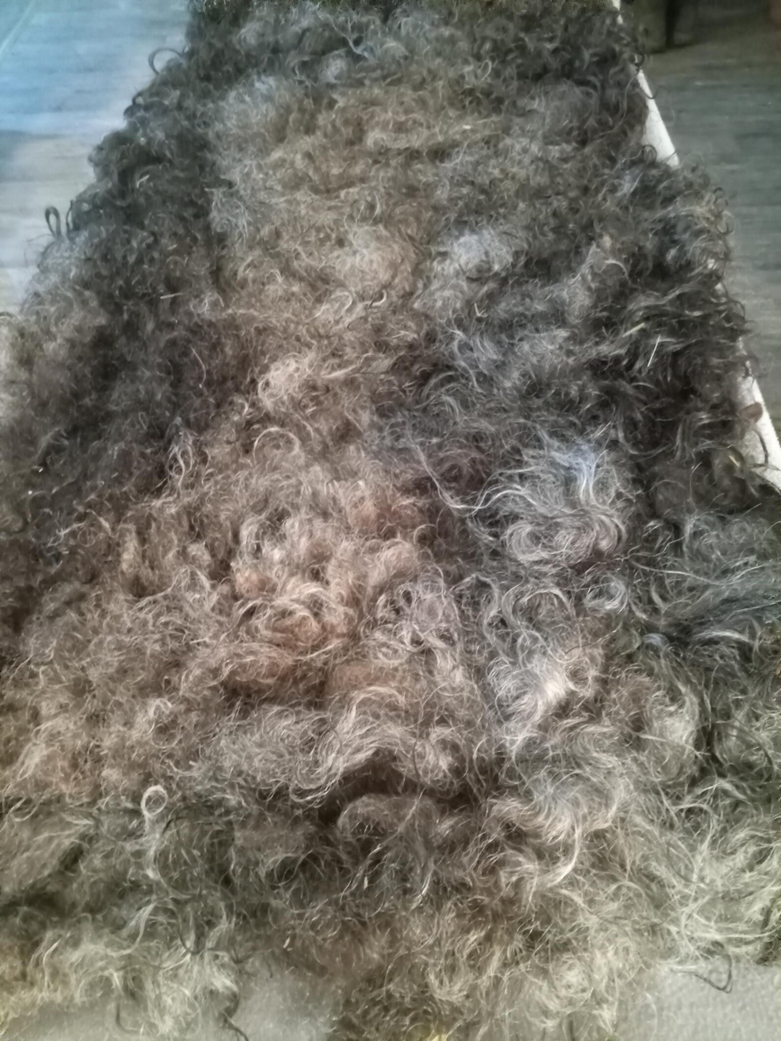 Jacob Fleece Rug/wall Art/couch Throw - Etsy