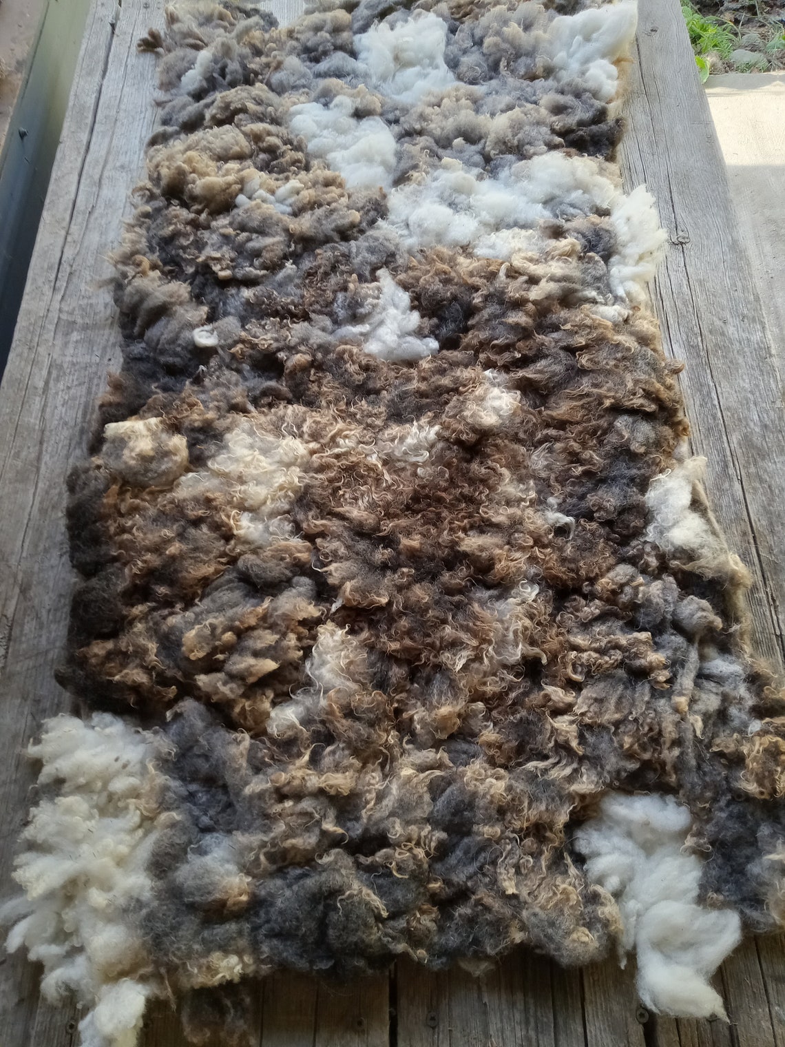 Jacob Fleece Rug/wall Art/couch Throw - Etsy