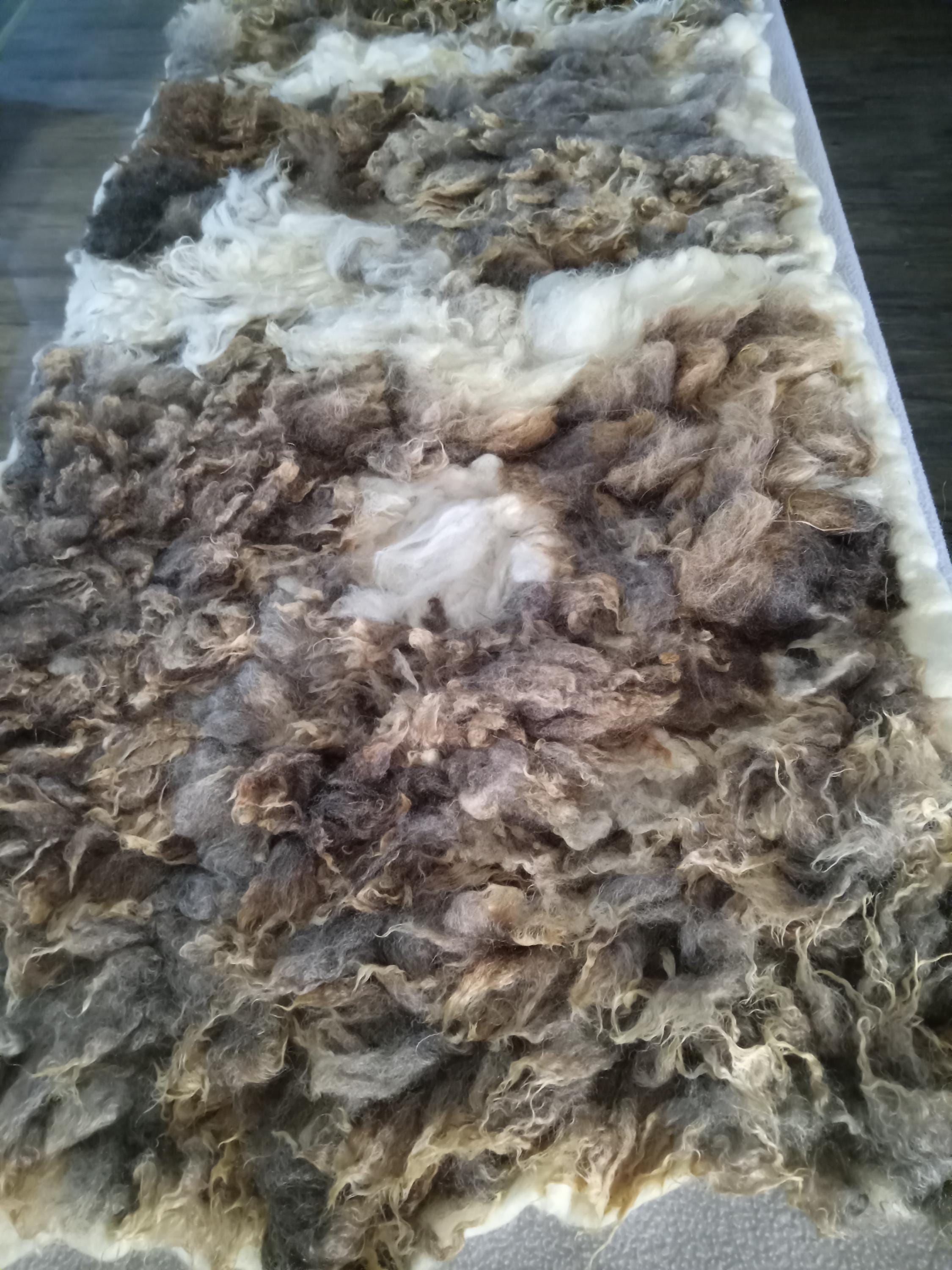 Jacob Fleece Rug/wall Art/couch Throw - Etsy