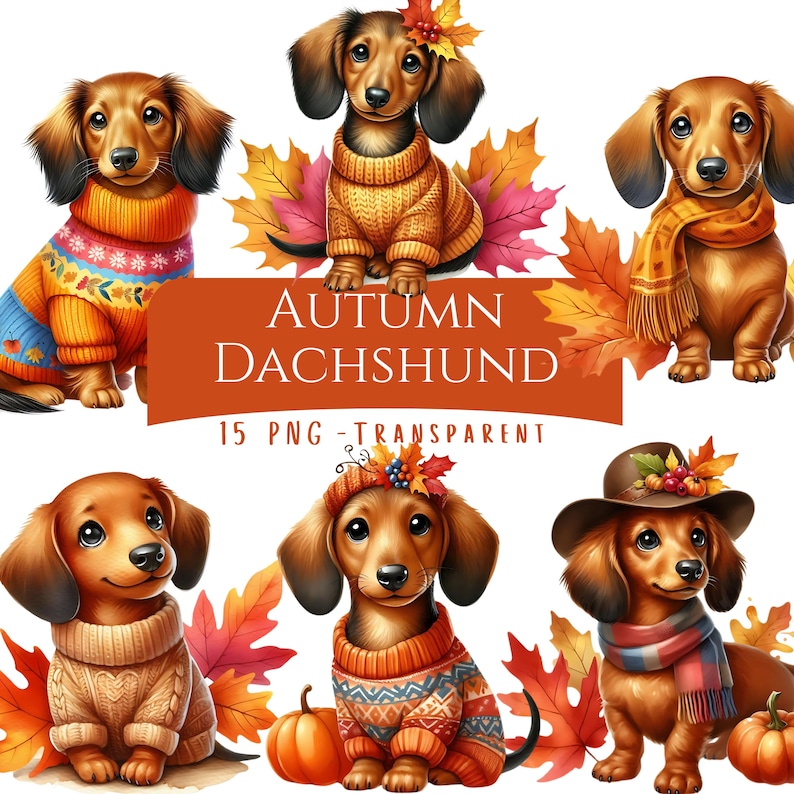 Autumn Dachshund Clipart Bundle 15 PNG High Quality Miniature Sausage ...
