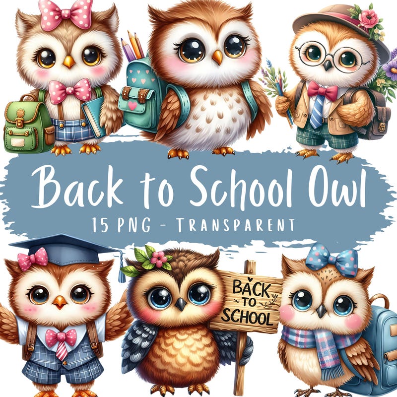 Graduation Owls - Etsy
