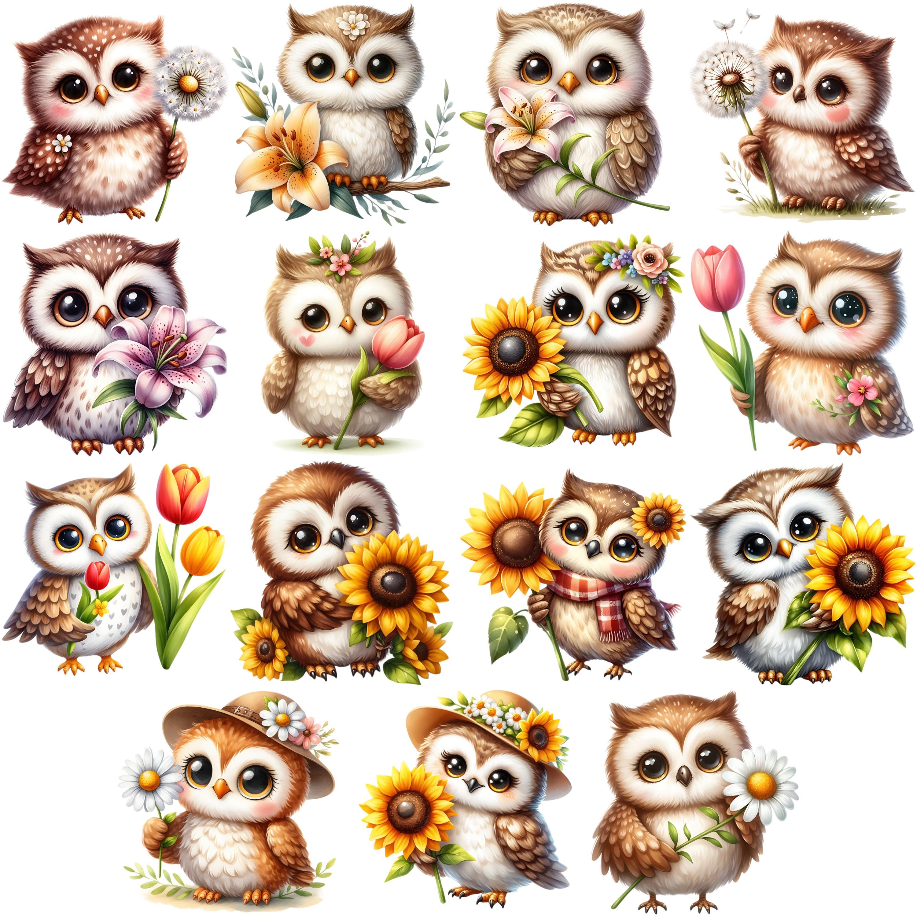 Little Flower Owl Clipart Bundle 15 PNG Watercolor Floral Owl Digital ...