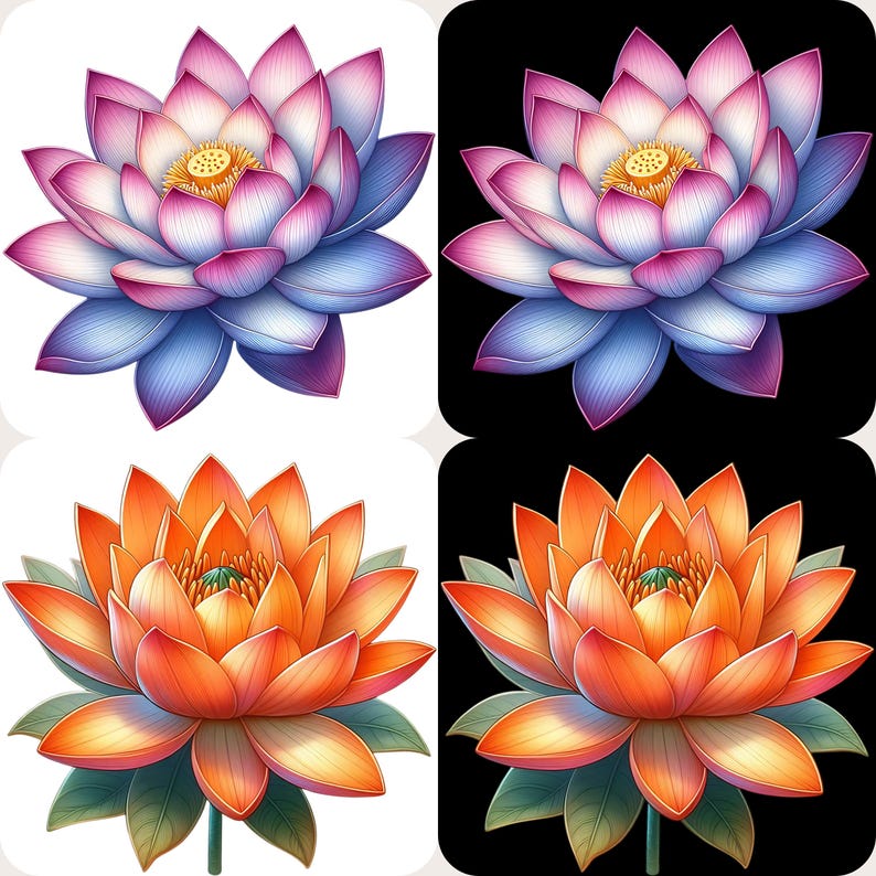 Lotus Flower Clipart Bundle 30 PNG High Quality Watercolor Vibrant ...