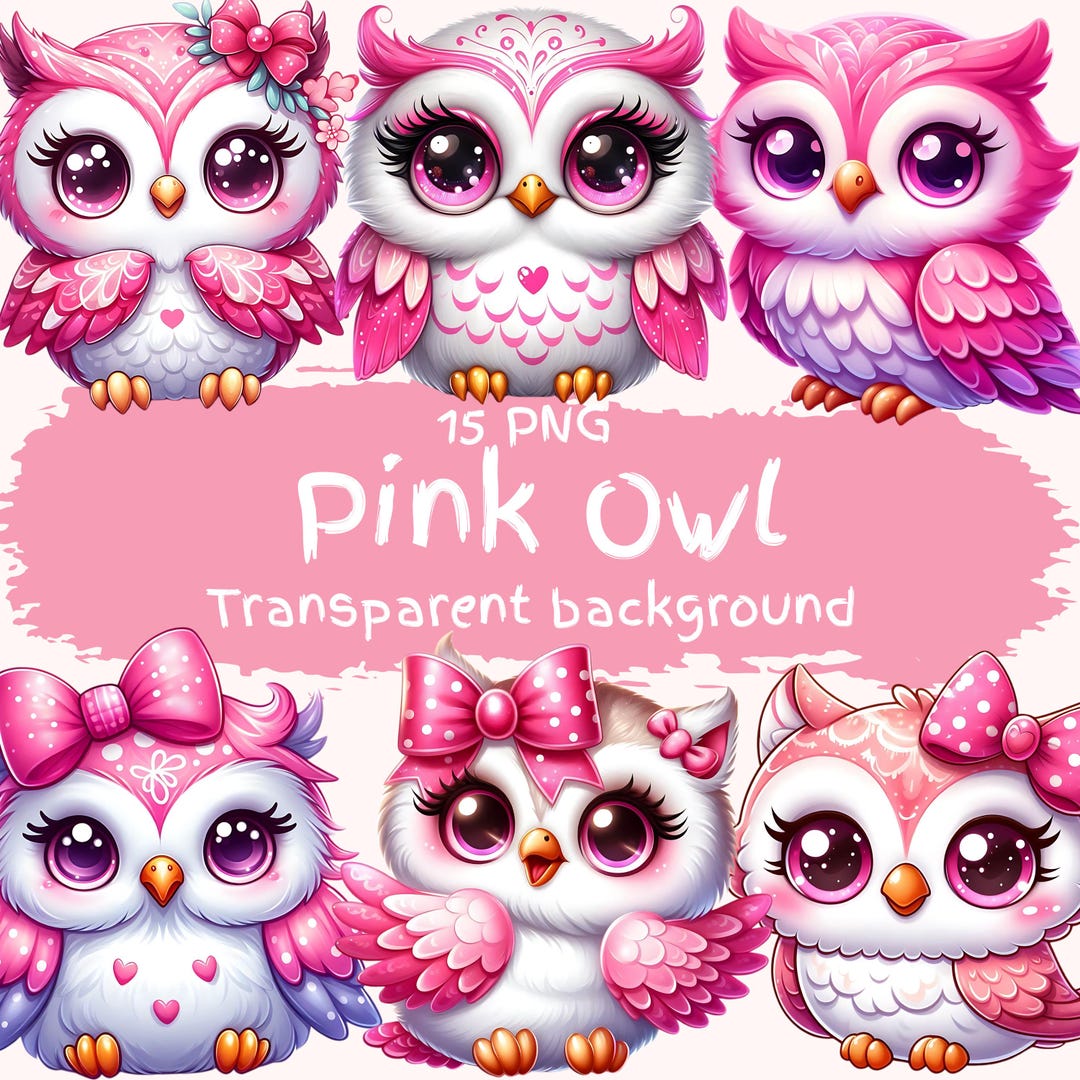 Pink Owl Clipart Bundle 15 PNG High Quality Cartoon Owl Ilustrations ...
