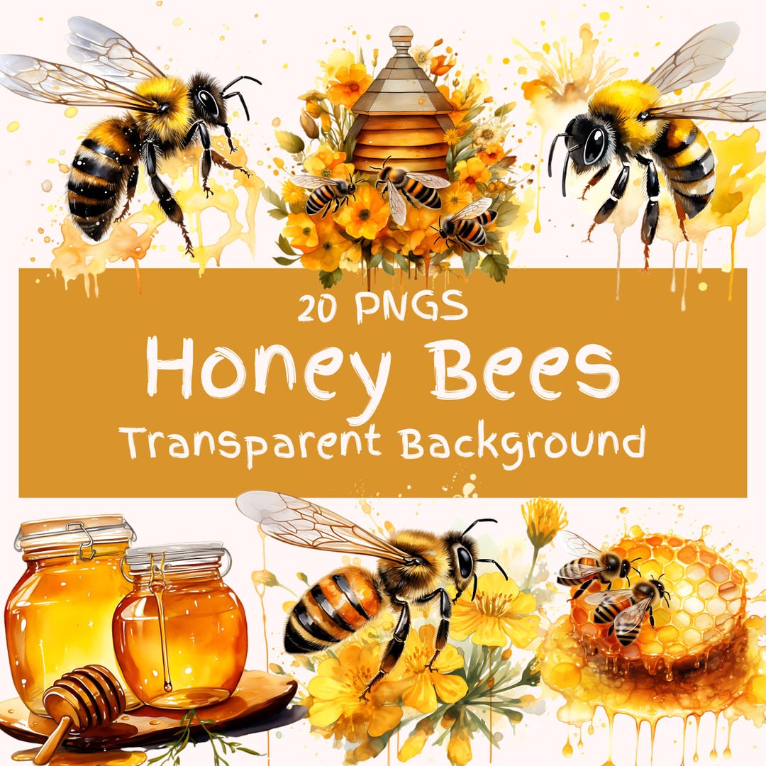 Honey Bees Clipart Bundle 20 PNG Watercolor Bee Digital Clip Art Honey ...