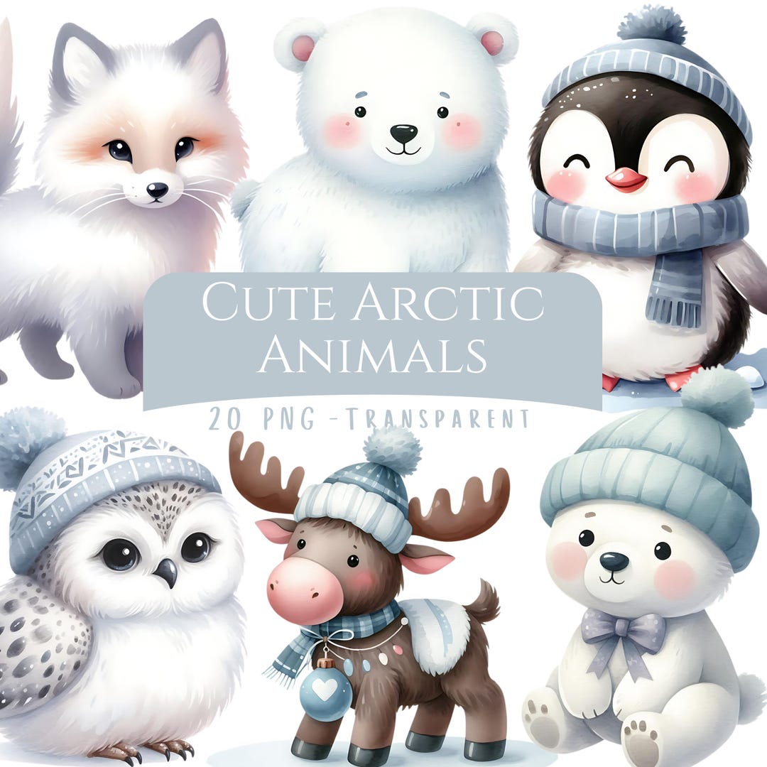 Cute Arctic Animals Clipart Bundle 20 PNG Watercolor Baby Winter ...