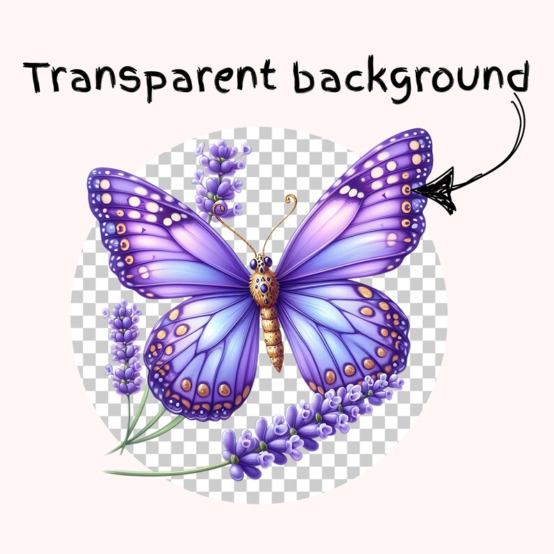 Lavender Butterfly Clipart Bundle 18 PNG Watercolor Cute Purple ...