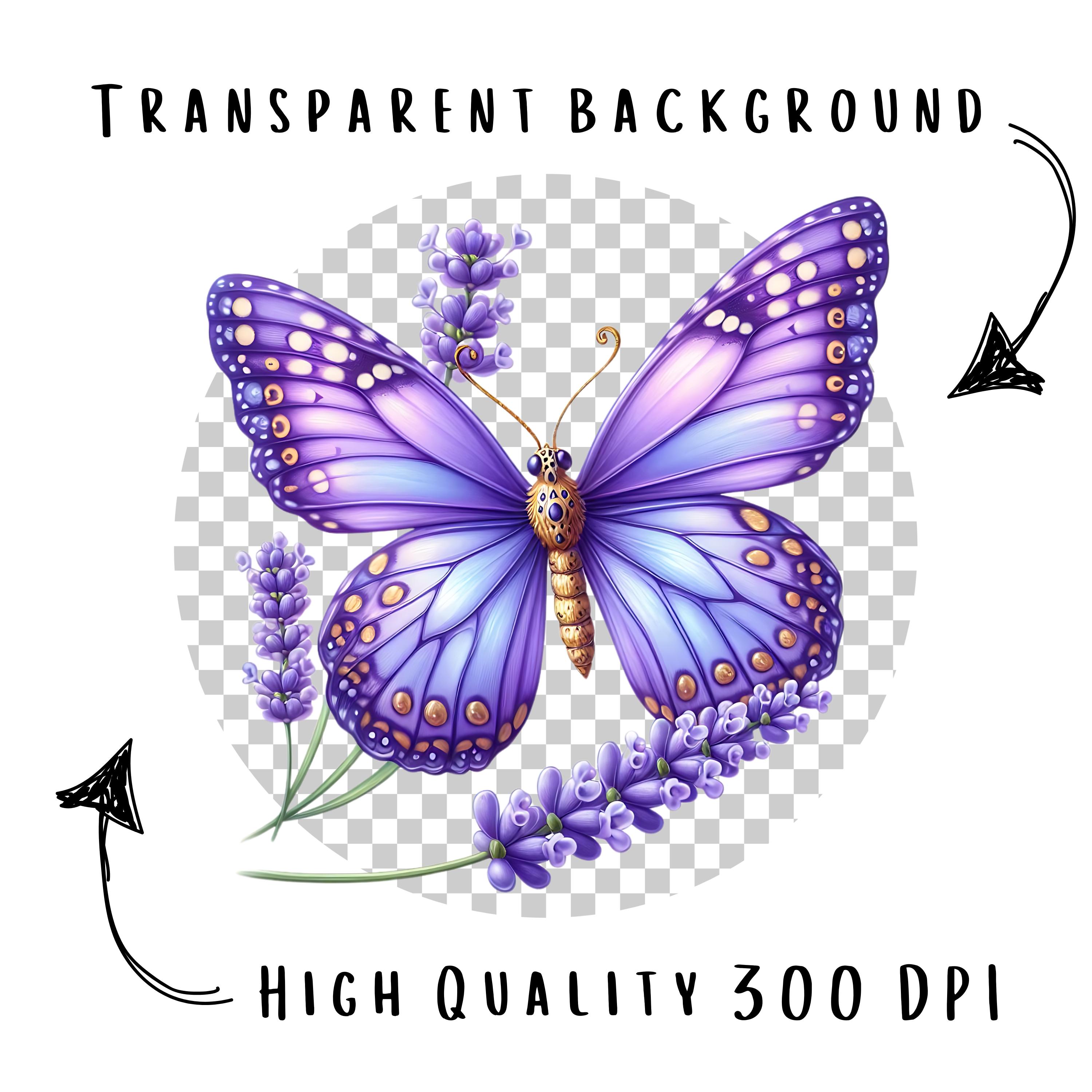 Lavender Butterfly Clipart Bundle 18 PNG Watercolor Cute Purple ...