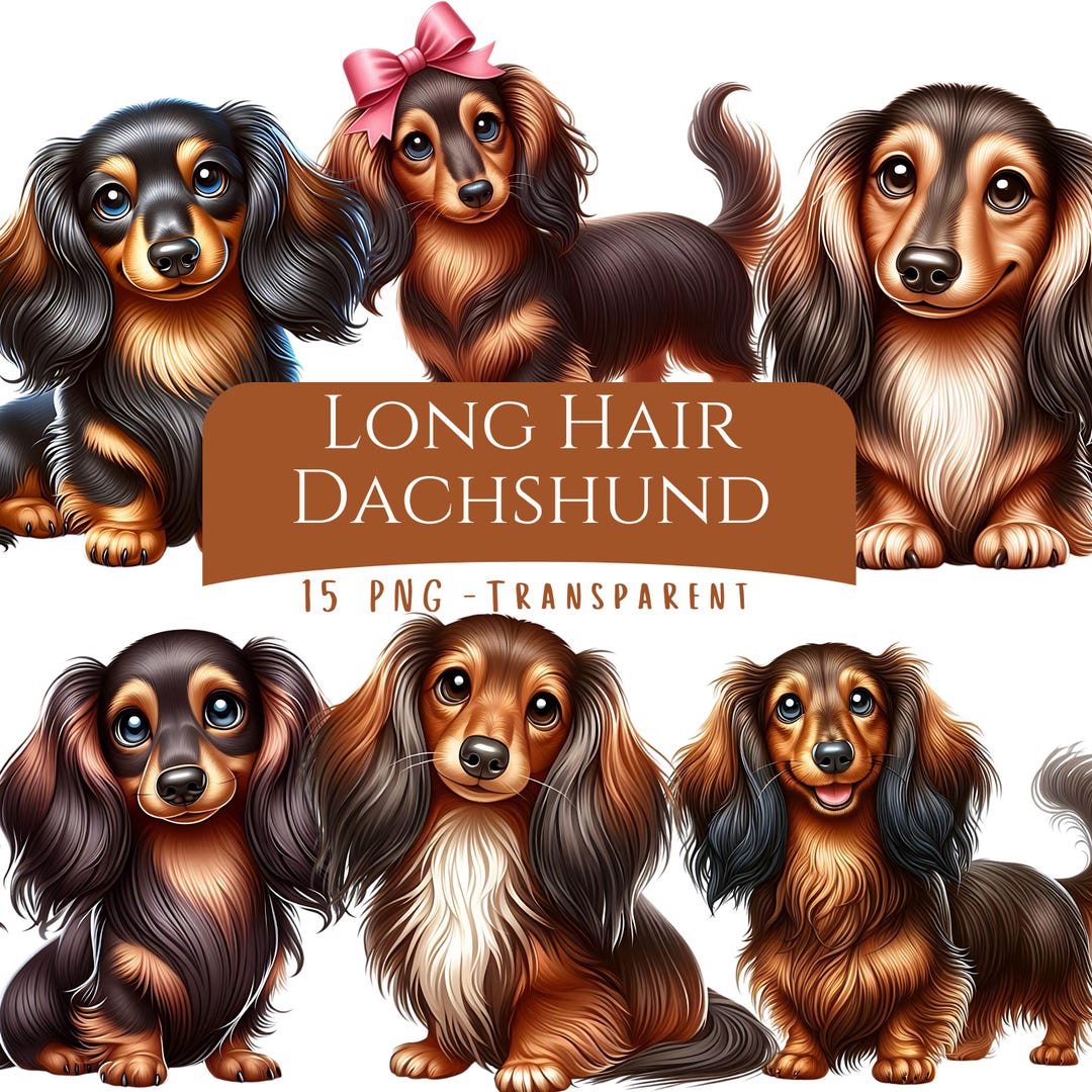 Long Hair Dachshund Clipart Bundle 15 PNG High Quality Miniature ...