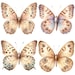 Beige Butterfly Clipart Bundle 15 PNG High Quality Watercolor Neutral ...