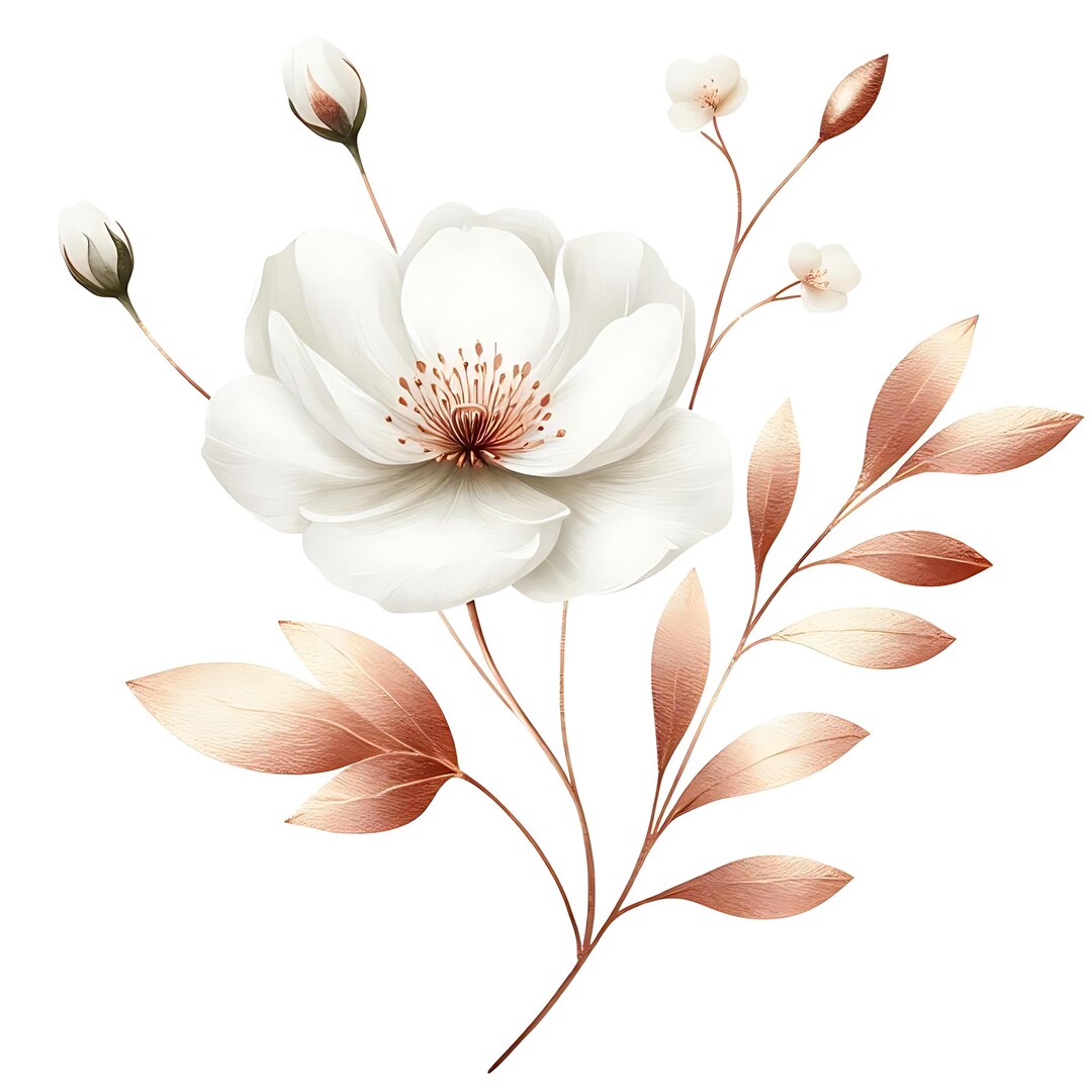 15 JPG White & Rose Gold Flowers Clipart Bundle Beautiful Watercolor ...