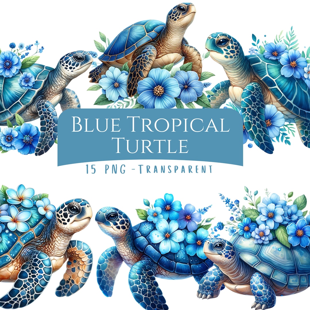 Blue Tropical Turtle Clipart Bundle 15 PNG Floral Summer Sea Turtle ...