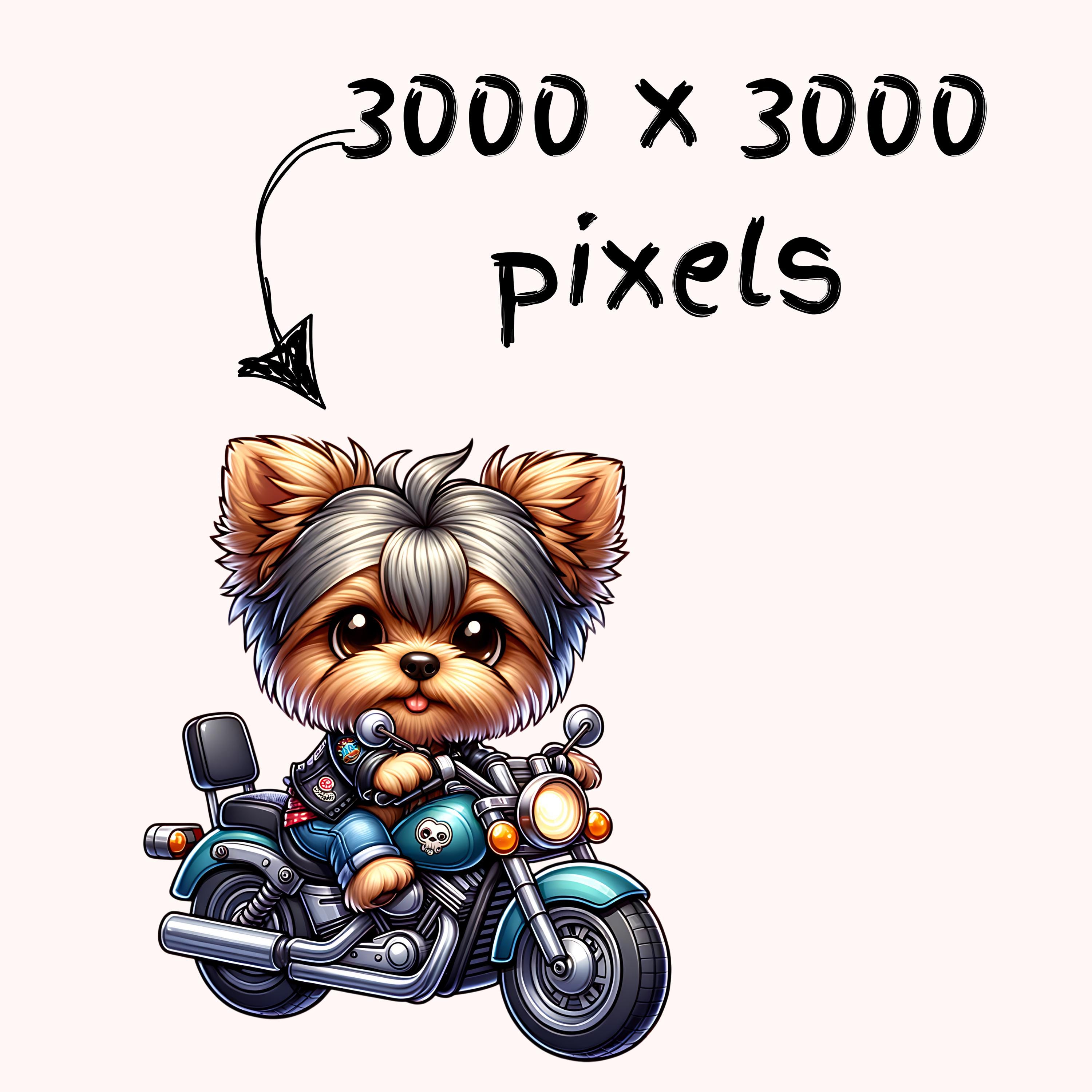 Biker Yorkie Clipart Bundle 15 PNG Digital Download Files Cute ...