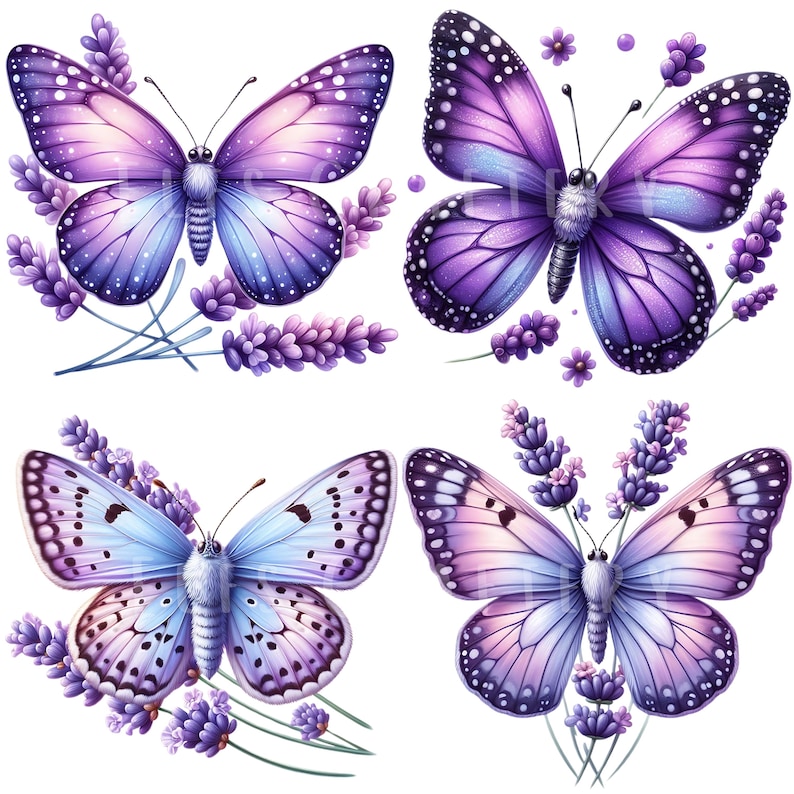Lavender Butterfly Clipart Bundle 18 PNG Watercolor Cute Purple ...