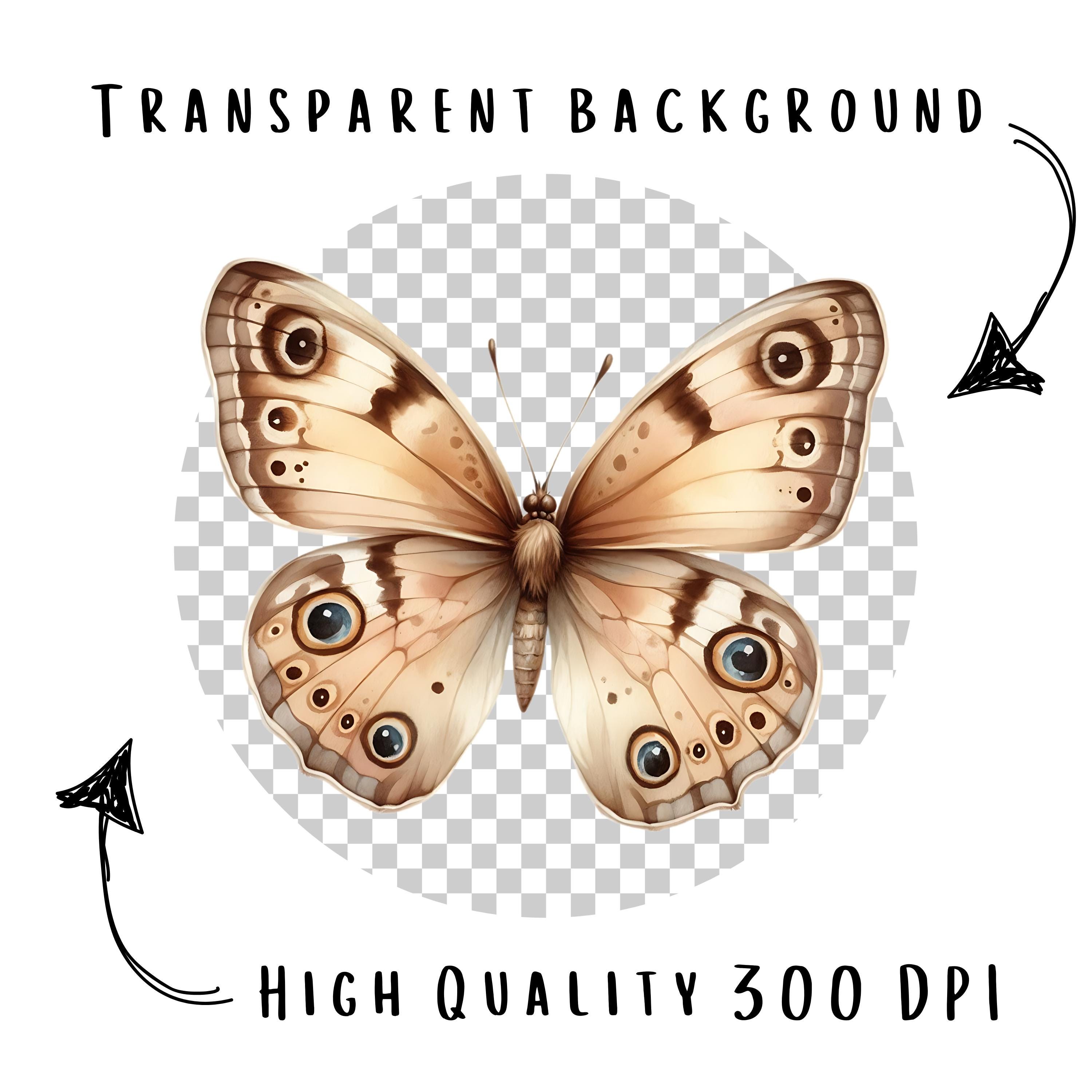 Beige Butterfly Clipart Bundle 15 PNG High Quality Watercolor Neutral ...