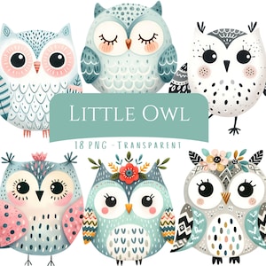 Little Owl Clipart Bundle 18 PNG Watercolor Cute Forest Owl Digital ...