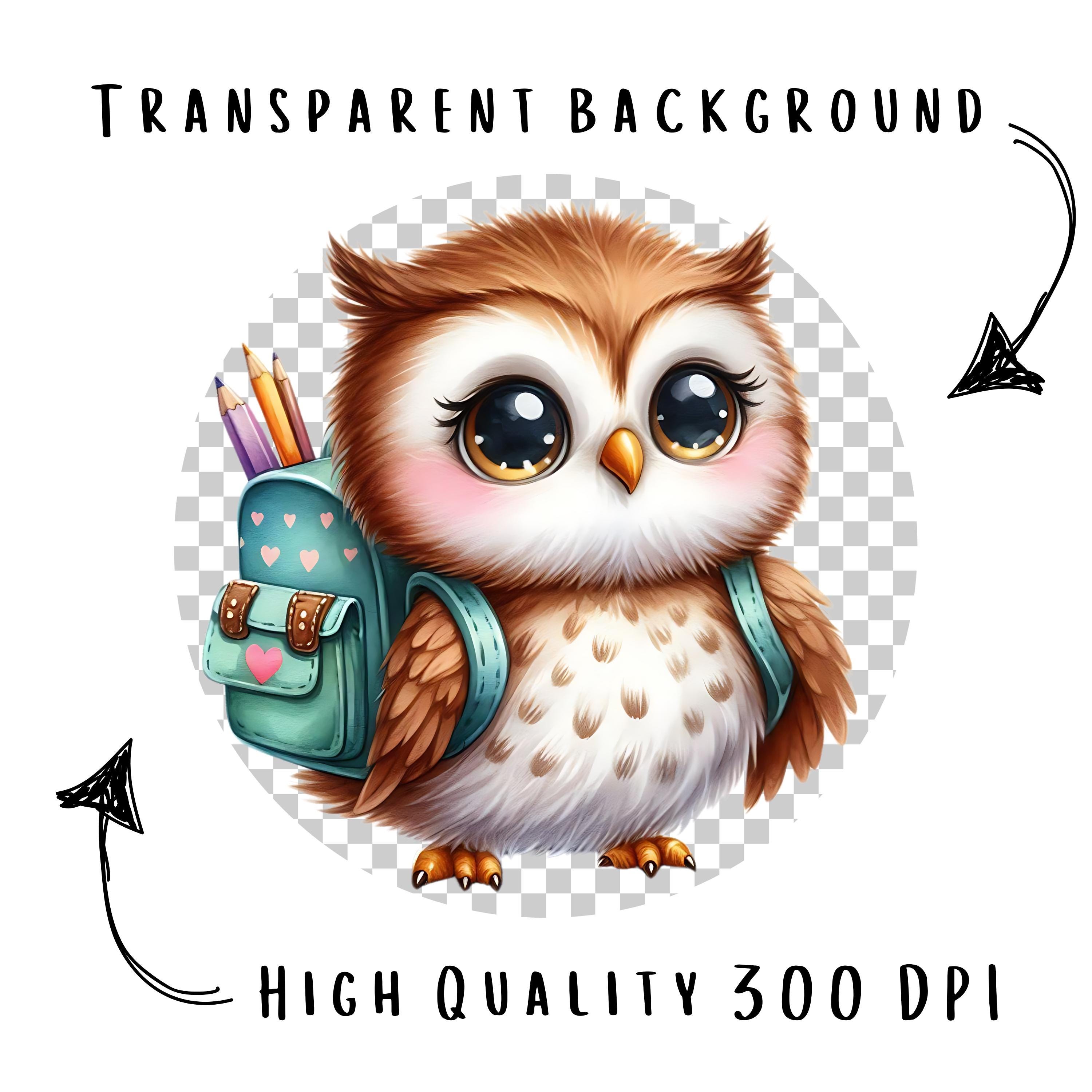 Back to School Owl Clipart Bundle 15 PNG High Quality Watercolor ...