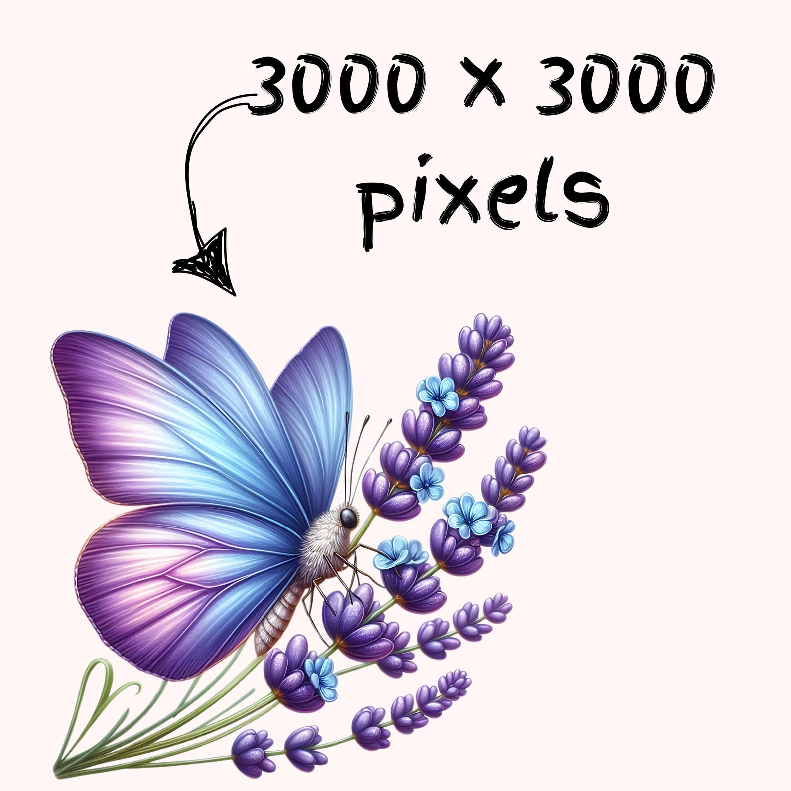 Lavender Butterfly Clipart Bundle 18 PNG Watercolor Cute Purple ...