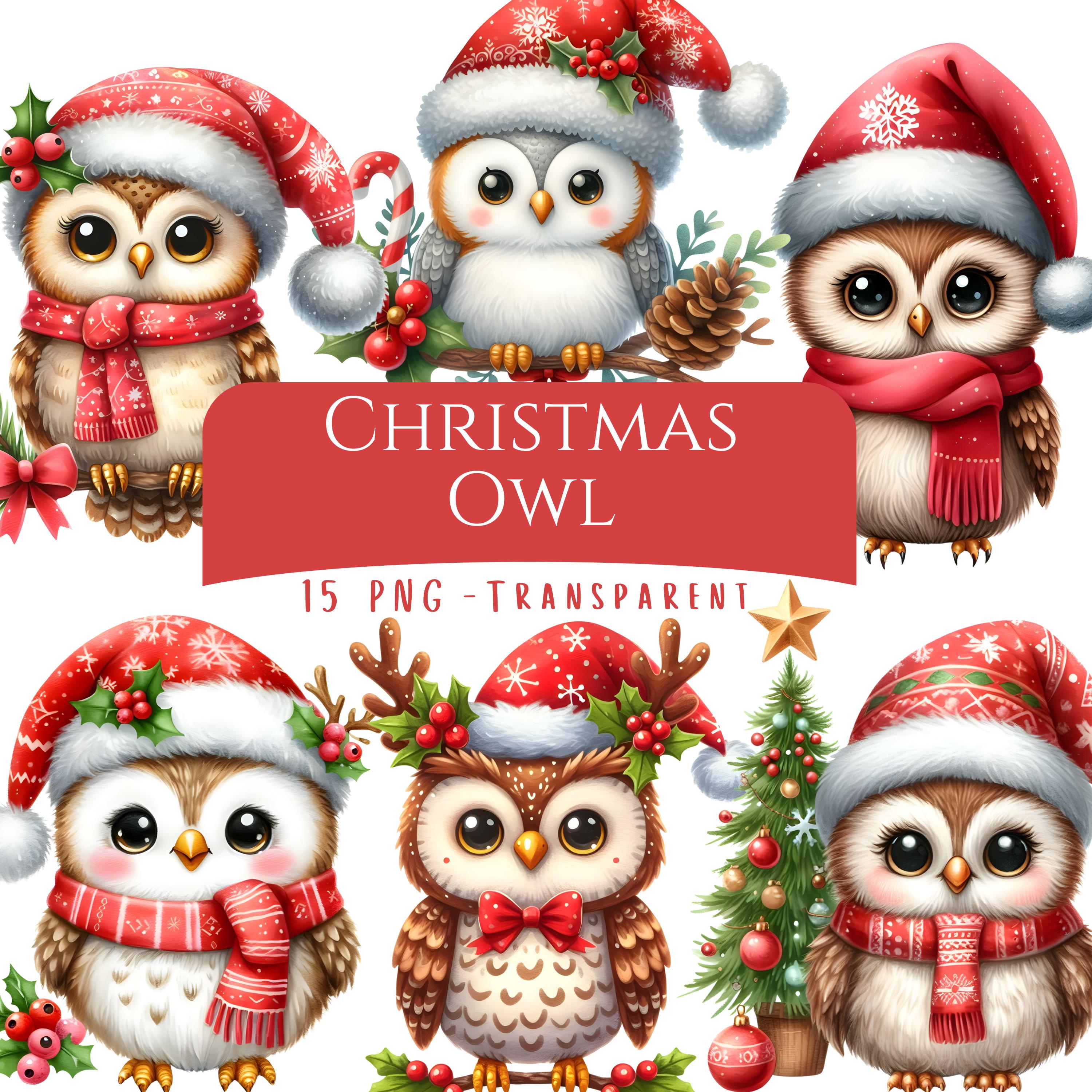 Christmas Owl Clipart Bundle 15 PNG High Quality Cartoon Cute Winter ...